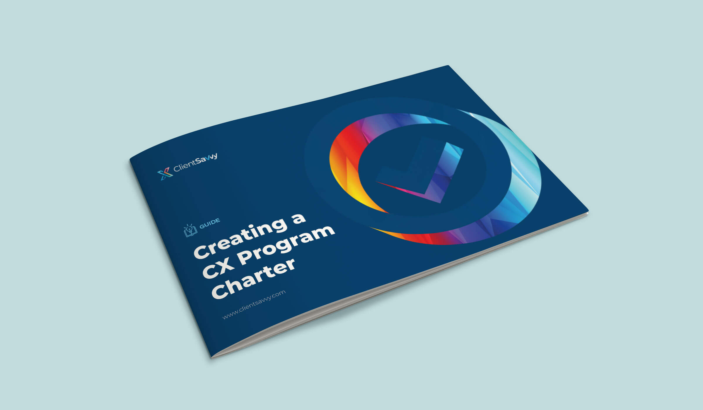 Creating a Client Experience Program Charter - Client Savvy Guide